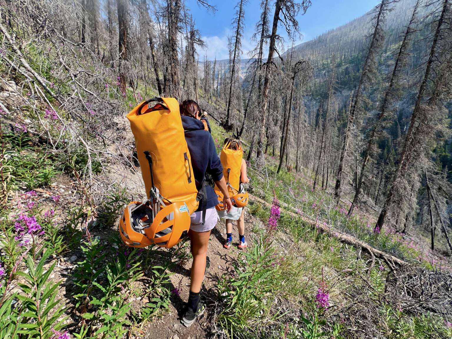 Bow Valley Canyon – exceptional Canyoning Experiences